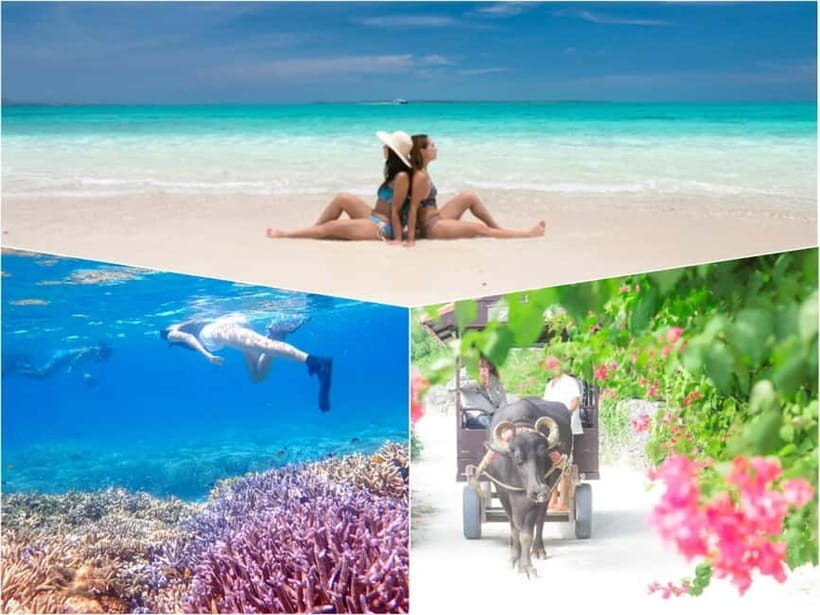 Ishigaki: Phantom Island Snorkeling and Taketomi Sightseeing - An In-Depth Look at the Tour Experience