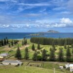 Island Orientation Tour with Airport Transfer Norfolk Island - The Practicalities