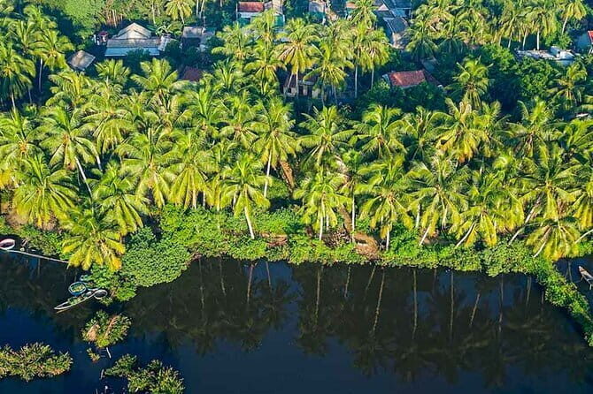 Island Tour to Mekong Delta Day Tours Vietnam My Tho and Ben Tre - Why This Tour Works for Travelers