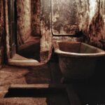J Ward Lunatic Asylum Ghost Tour - Who Should Consider This Tour?
