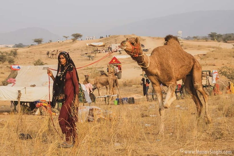 Jaipur: Ajmer & Pushkar Day Trip with Lunch & Camel ride - A Detailed Look at the Experience
