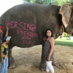 Jaipur: Elephant Interaction Tour - Detailed Breakdown of the Itinerary
