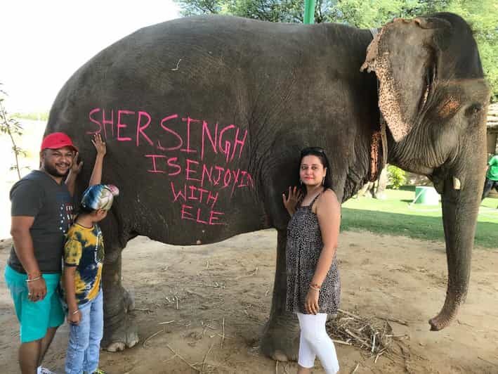 Jaipur: Elephant Interaction Tour - Detailed Breakdown of the Itinerary
