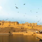 Jaipur Full-Day City Tour with Monkey Temple By AC Car - What Makes This Tour a Good Choice?