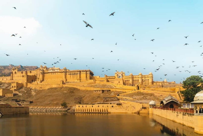 Jaipur Full-Day City Tour with Monkey Temple By AC Car - What Makes This Tour a Good Choice?