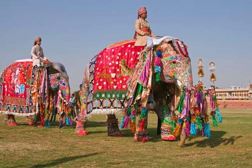 Jaipur: Full-Day Sightseeing Tour By Car with Guide - Why This Tour Works: Comfort, Convenience, and Curated Content