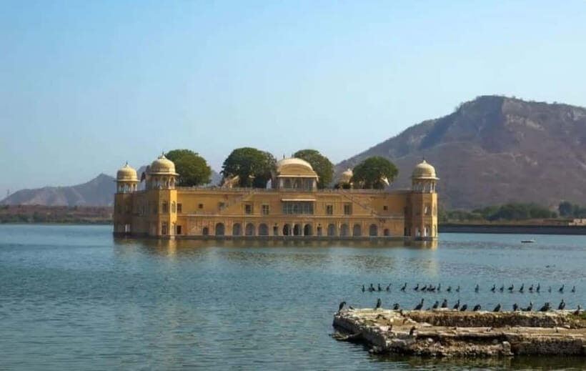 Jaipur: Full-Day Sightseeing Tour By Car with Guide - What You Can Expect from This Jaipur Tour