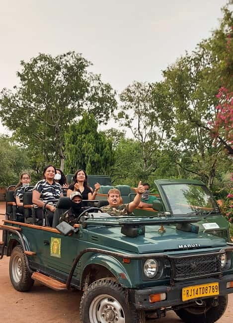 Jaipur: Jhalana Leopard Safari Tour - The Practical Side: Logistics and Tips