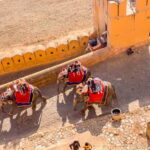 Jaipur: Private Jaipur Full-Day Tour With Guide - Practical Details and What to Expect