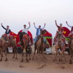 Jaipur: Pushkar Day Trip with Optional Camel Safari - The Practicalities: What’s Included and What’s Not