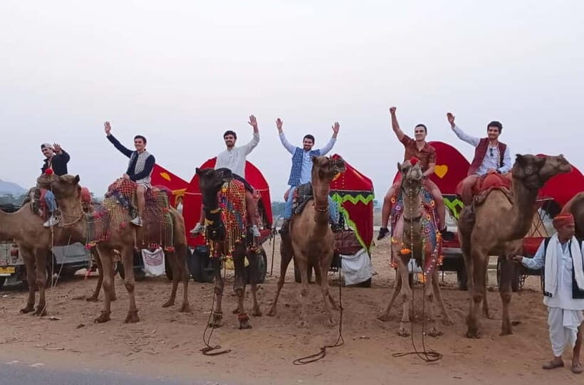 Jaipur: Pushkar Day Trip with Optional Camel Safari - The Practicalities: What’s Included and What’s Not