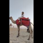 Jaipur to Puskar Same Day trip - Transport and Comfort