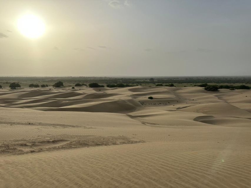 JAISALMER DESERT EXPERIENCE : SLEEPING UNDER THE STAR - Why Travelers Love This Tour