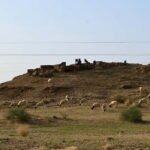 Jaisalmer: Sam Sand Dunes Sunset Tour with Camel Ride - Who Will Love This Tour?