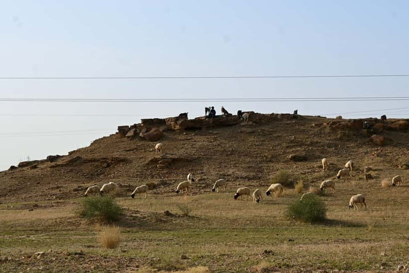 Jaisalmer: Sam Sand Dunes Sunset Tour with Camel Ride - Who Will Love This Tour?