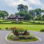 Jakarta: Bogor Botanical Gardens, with all Artists - Why This Tour Offers Great Value