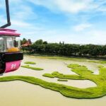 Jakarta: Cable Car Ride at Mini Indonesia Cultural Park - What to Expect on the Cable Car Ride