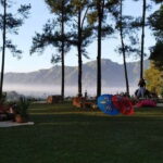 Jakarta: Private 15-Day Guided Tour of Java and Bali - Why This Tour Is Worth Considering