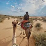 James Desert Experience - Why This Tour Offers Great Value