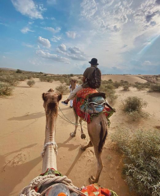 James Desert Experience - Why This Tour Offers Great Value