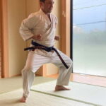 Japanese Calligraphy or Karate Experience in Kagoshima - Who Should Consider This Tour?