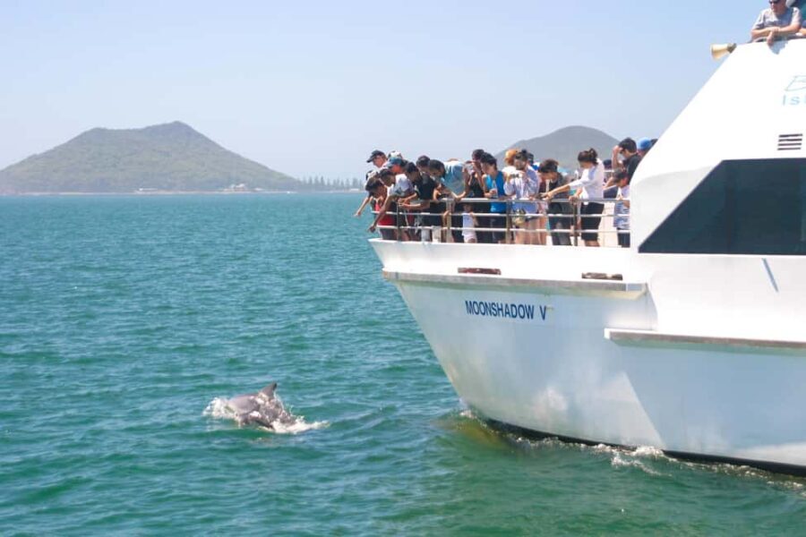 Japanese Tour: Port Stephens Dolphins, Koala & Sand Boarding - Exploring the Itinerary in Detail