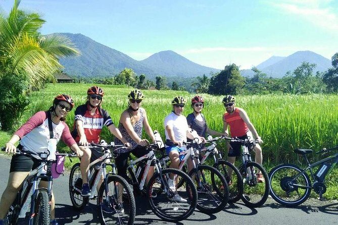 Jatiluwih in detail (1 h. e-bike tour in the rice terraces) - The Sum Up
