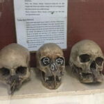 Jayapura : Private Car Customized Tour with Driver - Inside the Tour: Logistics and Practicalities