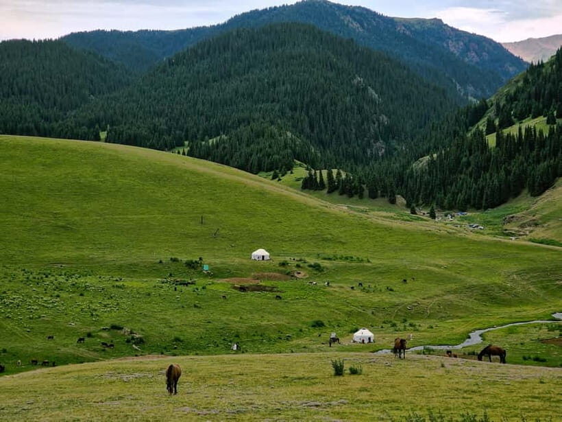 Jeep Off-Road tour: Discover Assy Plateau & Issyk Lake - What to Expect and Practical Tips
