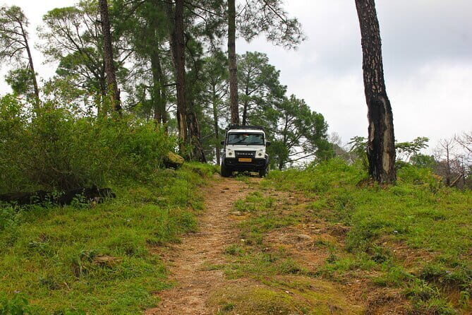 Jeep Safari and Picnic Tour - The Itinerary: What to Expect