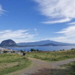 Jeju 4.3 Incident History & Cultural Tour with a Guide (SW) - An In-Depth Exploration of the Tour