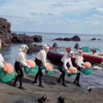 Jeju: Customized Private Vehicle Day Tour - Who Will Love This Tour?