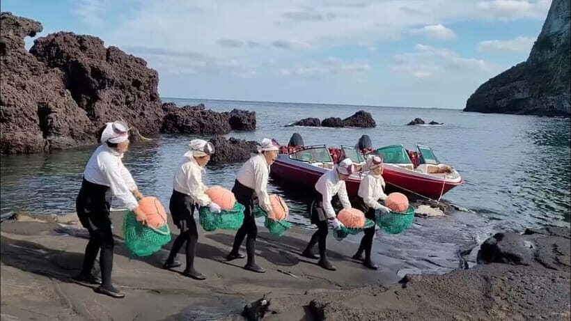 Jeju: Customized Private Vehicle Day Tour - Who Will Love This Tour?