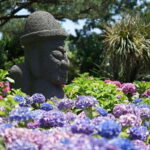 Jeju Hydragea Festival Tour : EAST Route - Seongsan Ilchulbong: A UNESCO Wonder