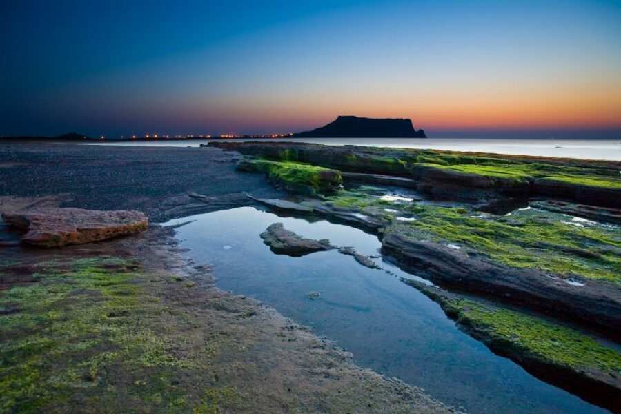 Jeju Island: Customized Private Full-Day Van Tour - What You Can Expect: A Day Designed by You