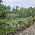 Jeju Island: Full-Day SouthWest Bus Tour with Entry Fees - The Practical Side: What’s Included and What’s Not