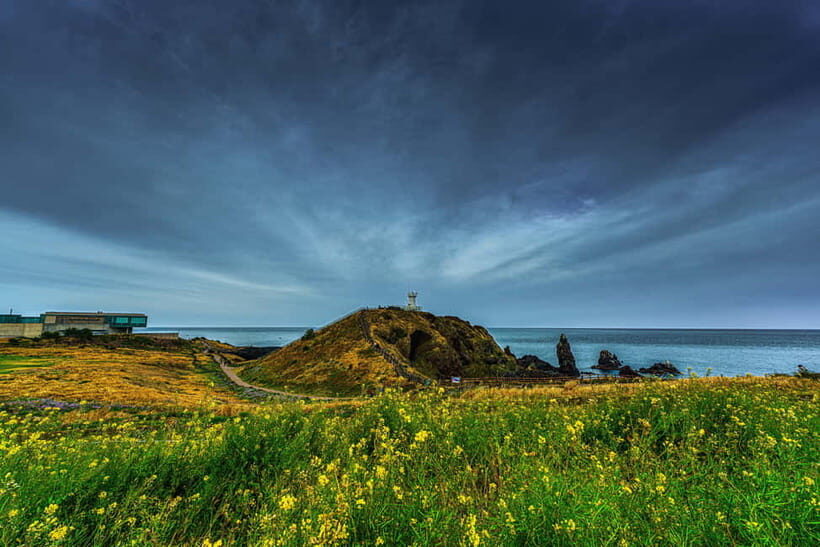 Jeju Island: Full Day Tour for Cruise Ship Passengers - How the Itinerary Brings Jeju to Life