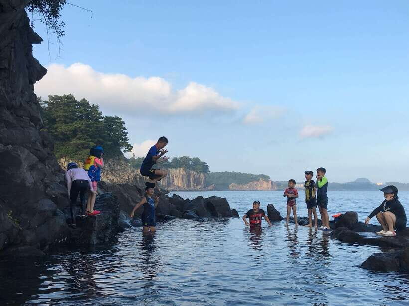 Jeju island: Van tour with a guide who the most loves JEJU - What’s Included & What to Keep in Mind