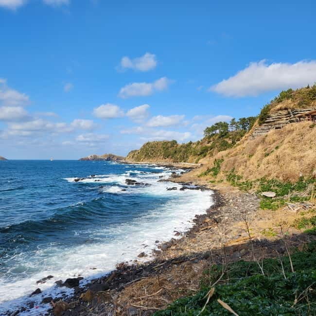 Jeju: Popular Sightseeing Private Car Charter Tour - Who Should Consider This Tour?