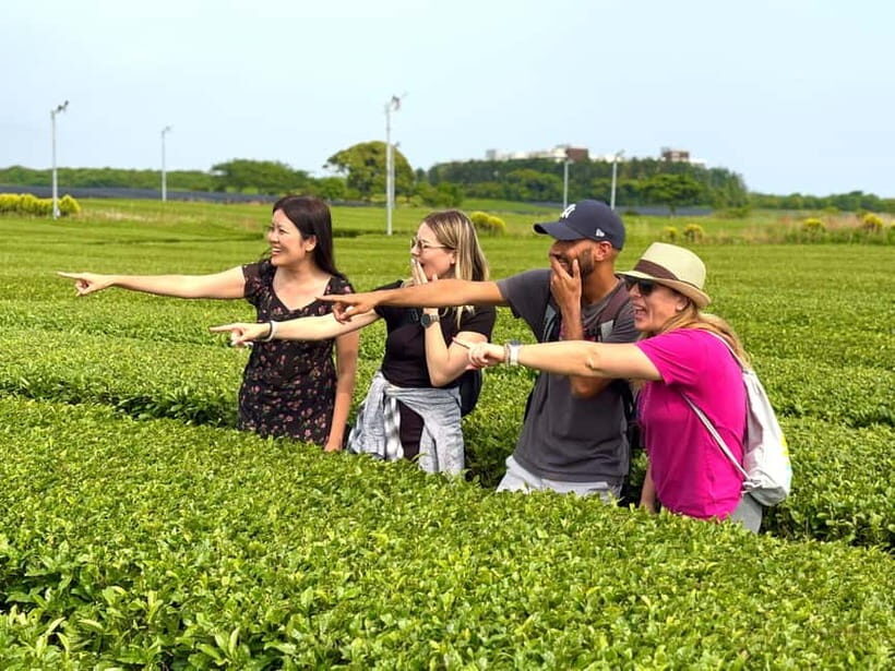 Jeju: South Healing UNESCO Small Group Tour & Mt.Halla, Olle - What the Tour Means for You