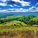 Jenolan Caves Blue Mountains Day Tour + River cruise - The Scenic Drive and Small-Group Dynamics