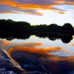 Jervis Bay: 2-Hour Sunset River Cruise - Final Thoughts: Is It Worth It?