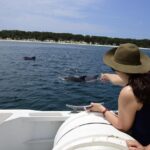 Jervis Bay Dolphin Cruise - Who Should Consider This Tour?