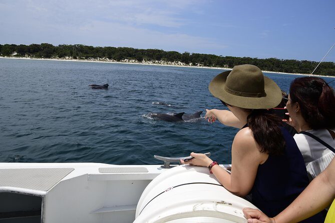 Jervis Bay Dolphin Cruise - Who Should Consider This Tour?