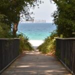 Jervis Bay & Dolphins Cruise - One Day Tour - What’s Included and What’s Not