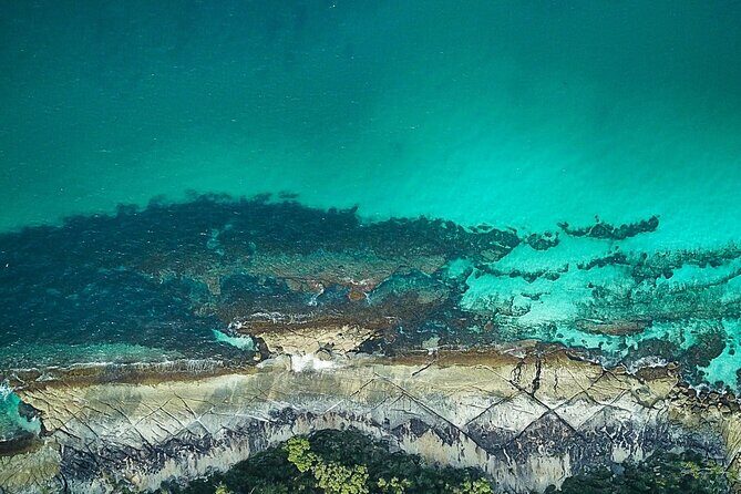 Jervis Bay, Kiama & Kangaroo Valley Day Trip From Sydney-PVT - Transportation and Comfort