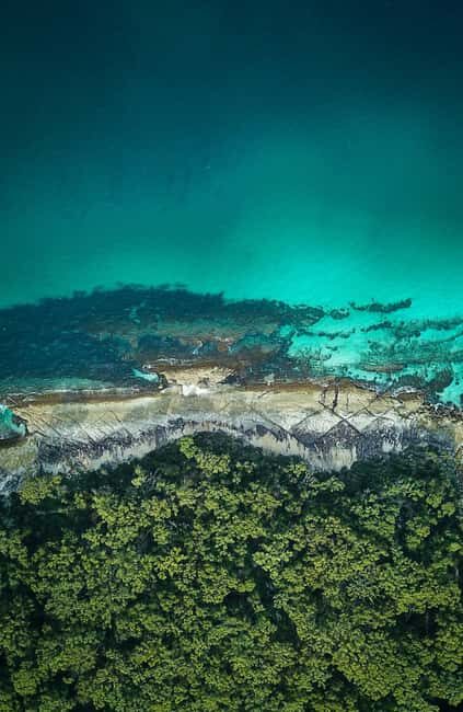 Jervis Bay, Kiama & Kangaroo Valley Day Trip From Sydney-PVT - An In-Depth Look at the Itinerary