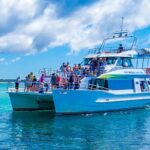 Jervis Bay Whale Watching Tour - What to Expect on the Tour