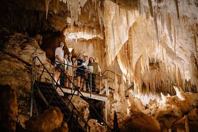 Jewel Cave Fully-guided Tour (Located in Western Australia) - The Experience in Detail: A Closer Look at the Itinerary