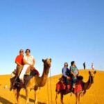 Jodhpur Camel & Jeep Safari with Sunset, Folk Dance, Dinner - What You’ll Take Away